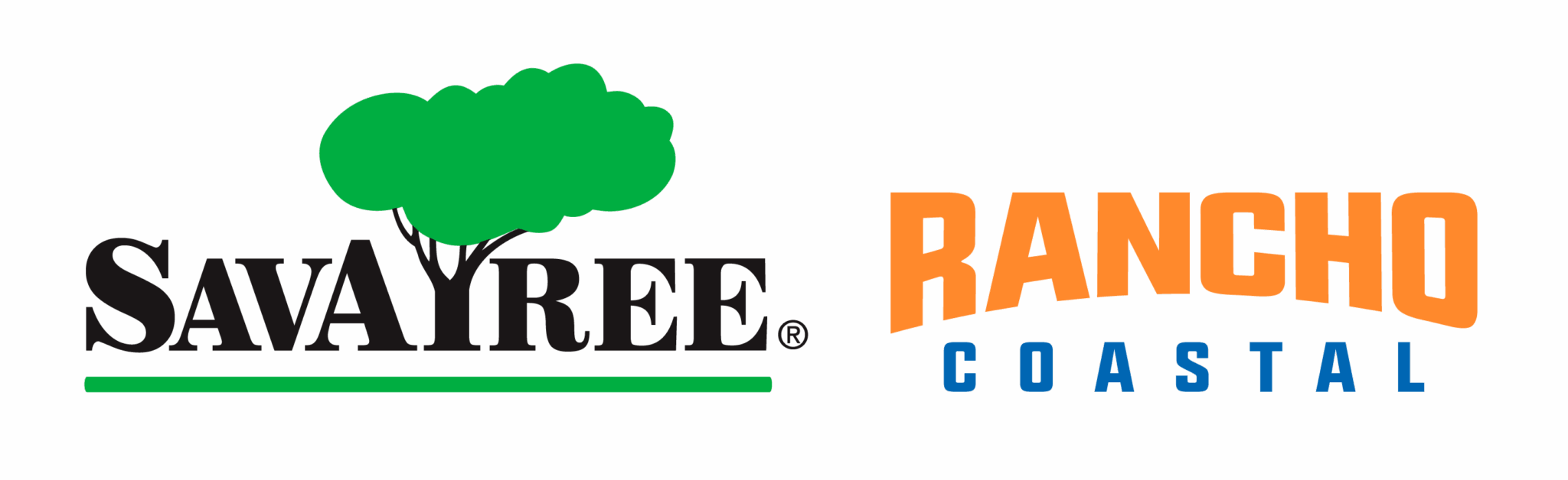 Palm Tree Pruning San Diego – Rancho Coastal | Professional Arborist ...